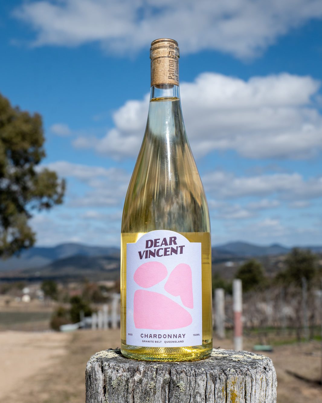 Products – Dear Vincent Wines