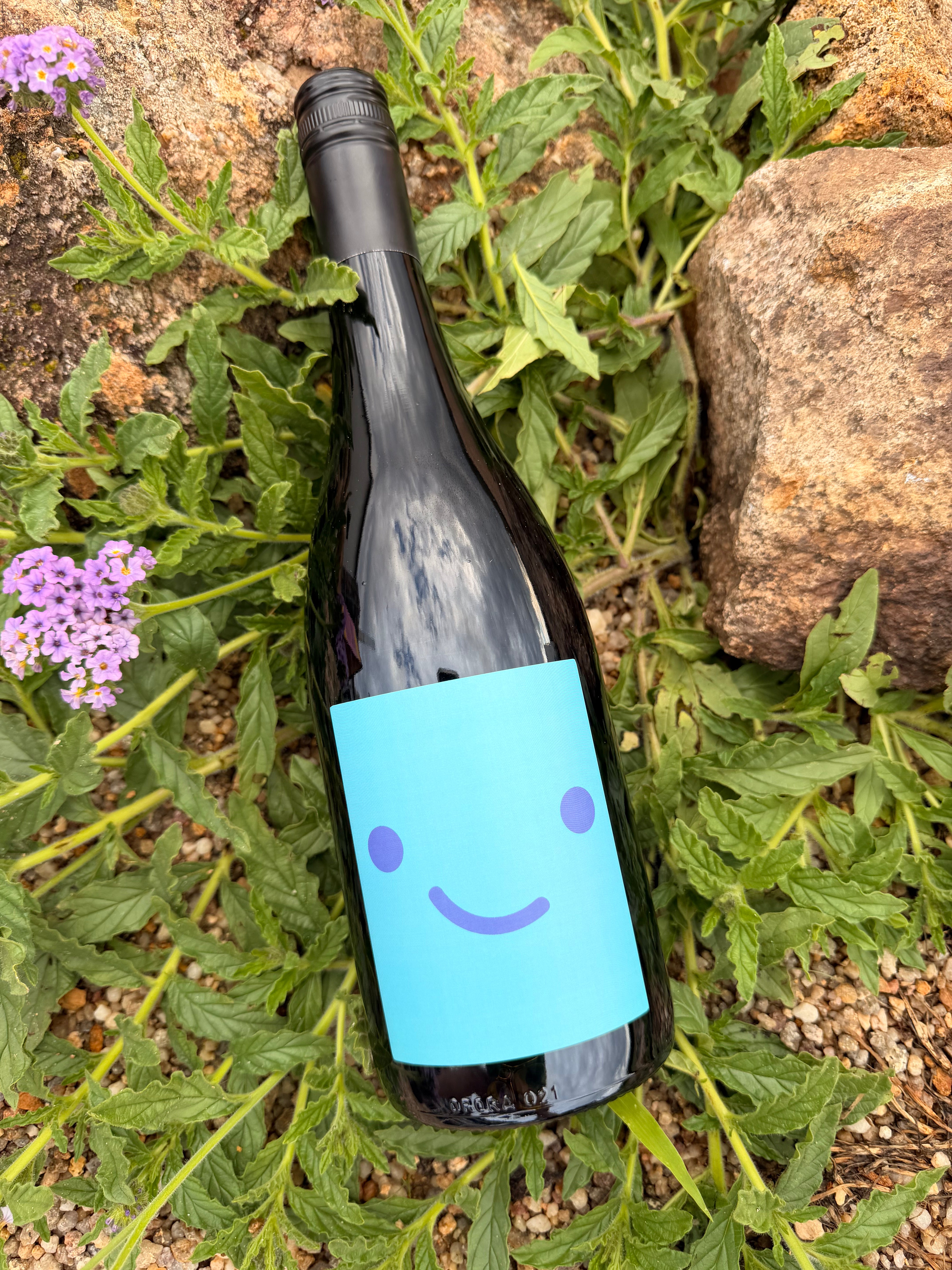 Lost Red No. 1 – Dear Vincent Wines