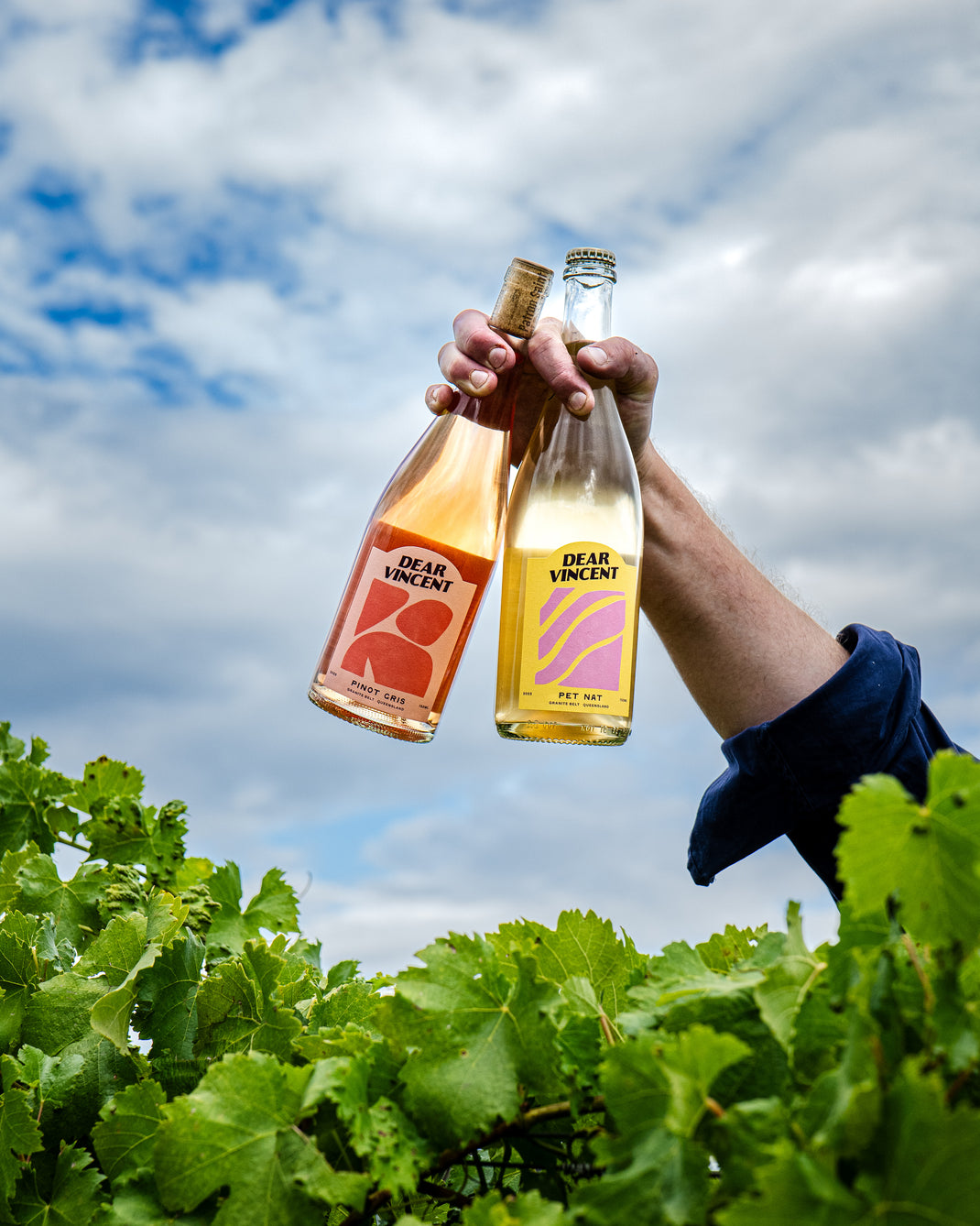 Dining & Experiences – Dear Vincent Wines